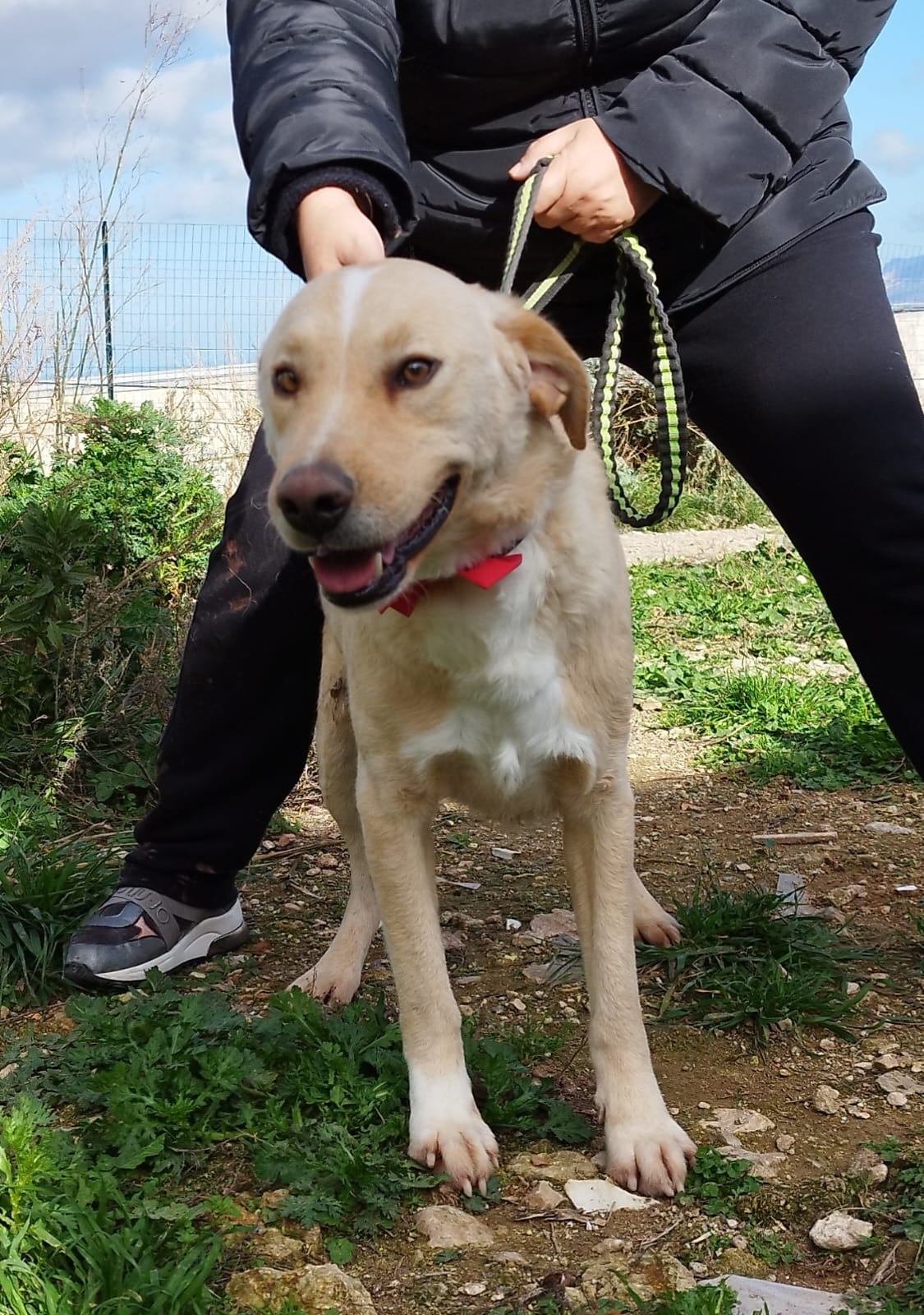 Sebastian Cane Stupendooo a Monza in Regalo